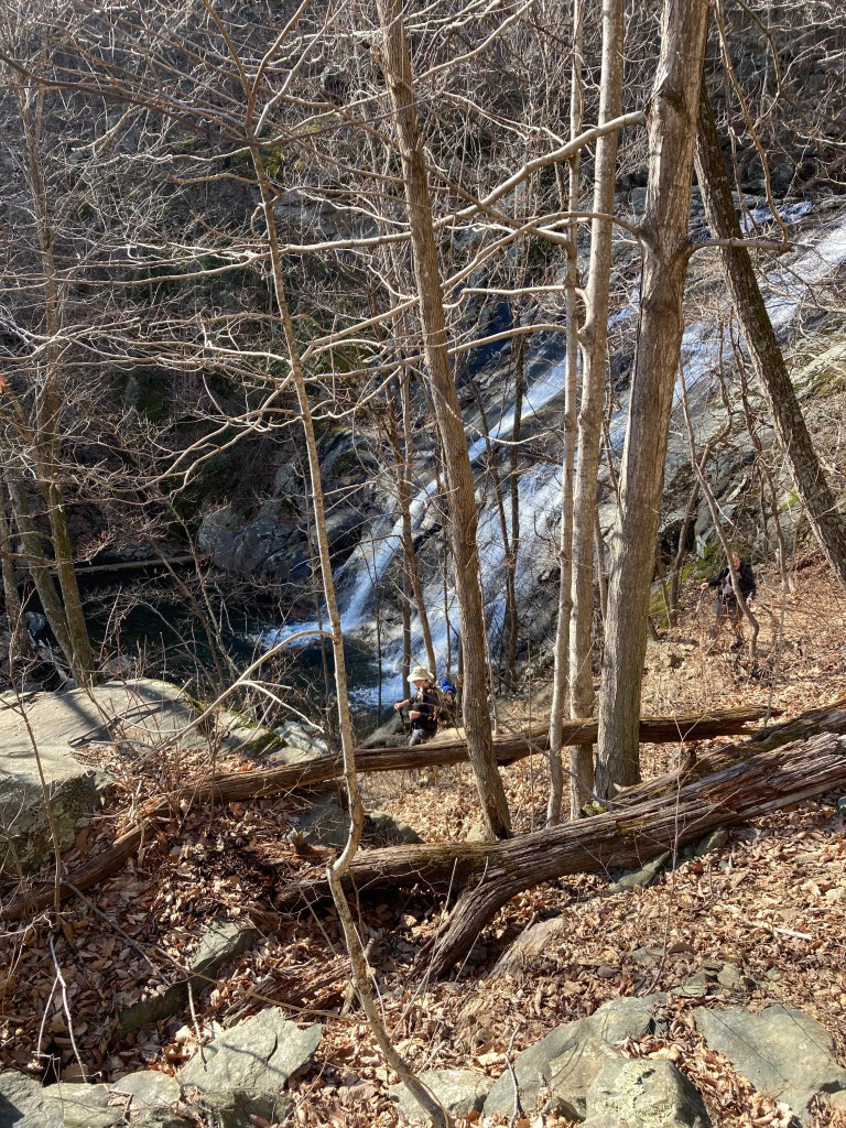 Trip Report: “Shenandoah National Park; Corbin Cabin; Robertson ...