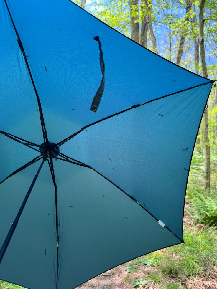 In Dune, You Ride the Worms; In LHHT, The Worms Ride You — Trip Report ...