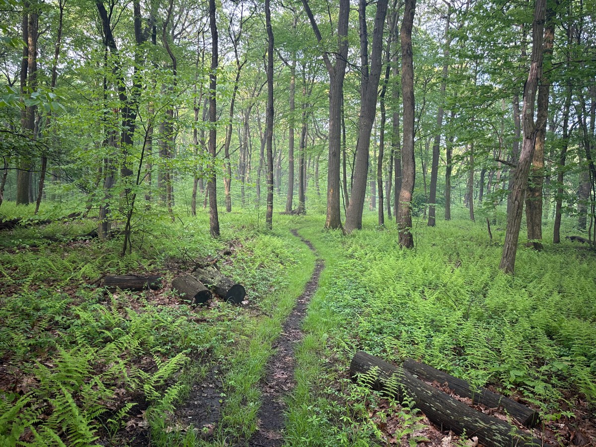 In Dune, You Ride the Worms; In LHHT, The Worms Ride You — Trip Report ...